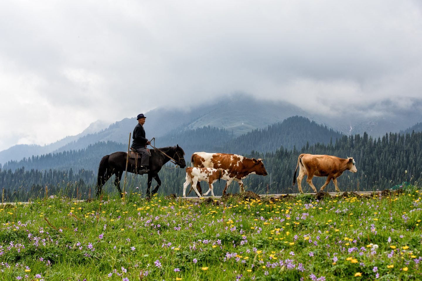 Epic View Of Xinjiang With LI Xingye | The Fox Magazine