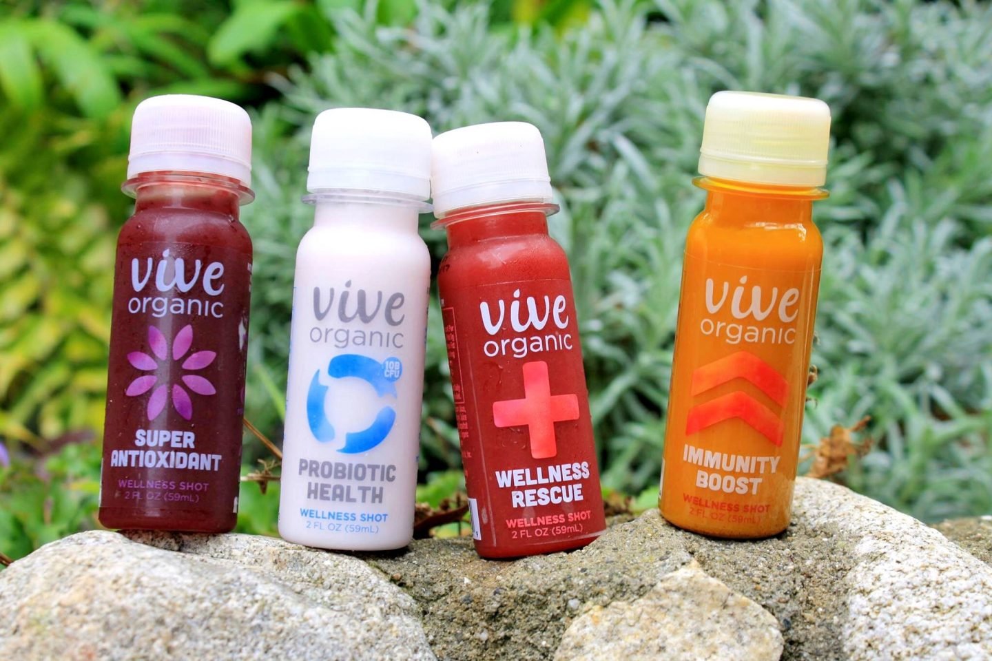 Vive Organic Creates Expertly Crafted Wellness Shots | The Fox Magazine
