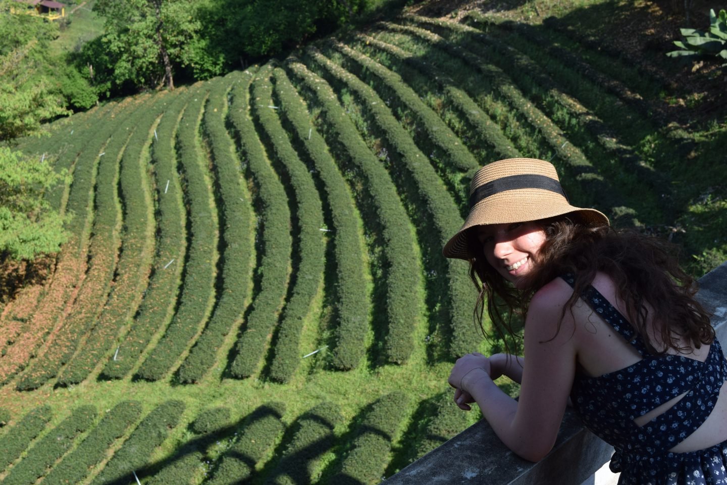 Get Culturally & Culinary Inspired By Mathilde Lemaire | The Fox Magazine
