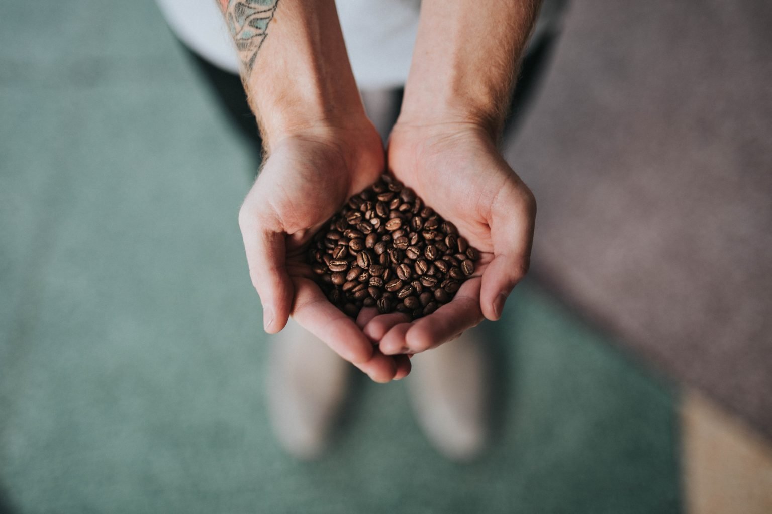 Kopi Luwak: 6 Fun Facts About The Most Expensive Coffee Bean | The Fox ...