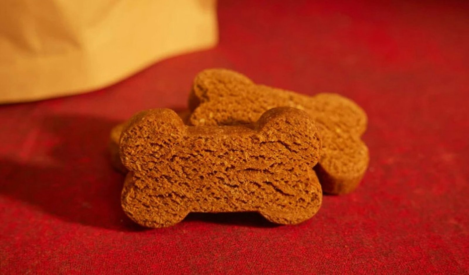 Best Organic Plant-Based Dog Treats for Healthy, Happy Pups in 2026 ...