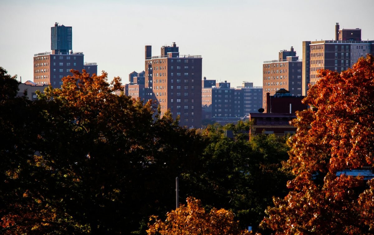 Inside Brooklyn’s Transformation Toward More Self-Guided Living | The ...
